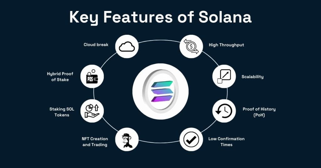 The Beginner's Guide To The Solana Blockchain Network