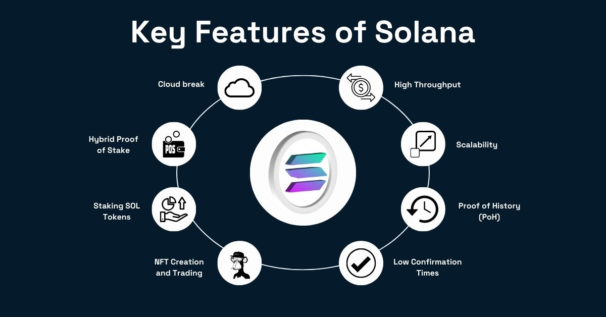 The Beginner's Guide To The Solana Blockchain Network