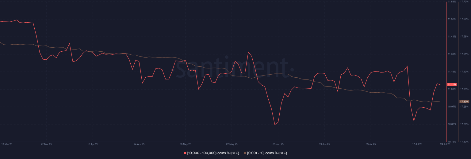 Bitcoin Price in Danger Zone! What Happens If Whales Sell?