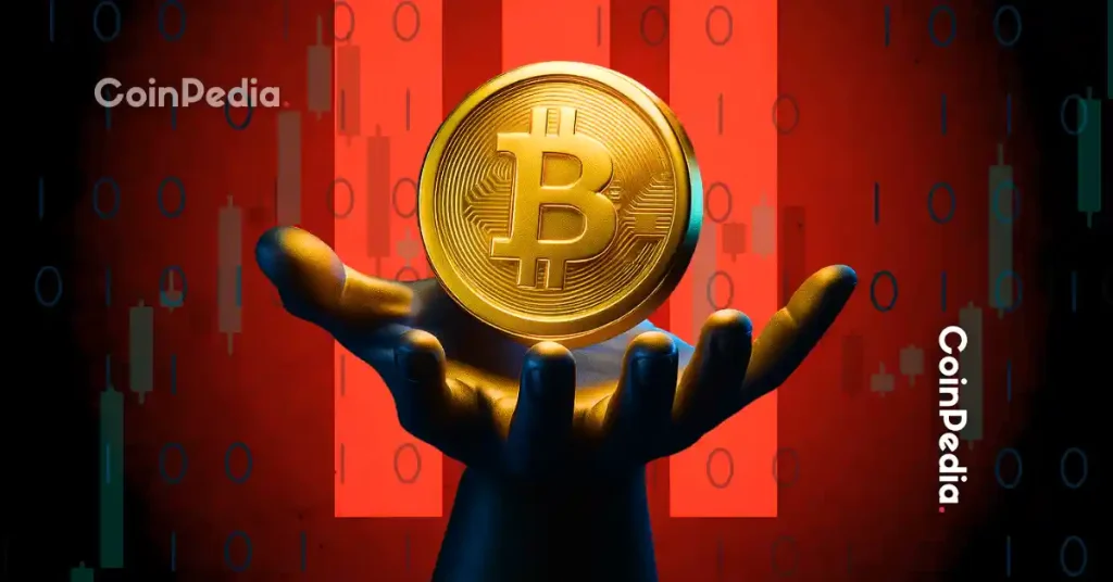 Why Bitcoin Price Is Up Today | MEXC News