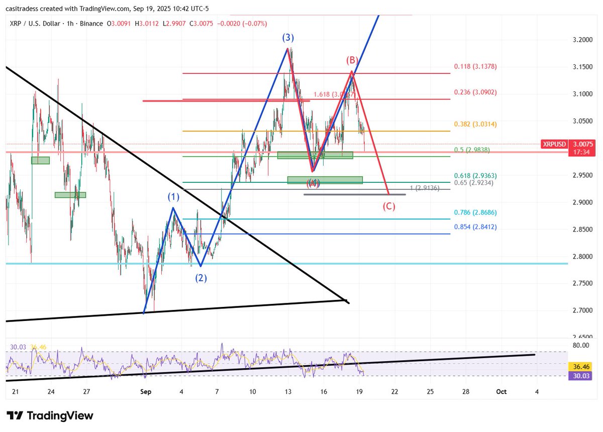 XRP Price Struggles Below $3, Top Traders Warn of Possible Dip