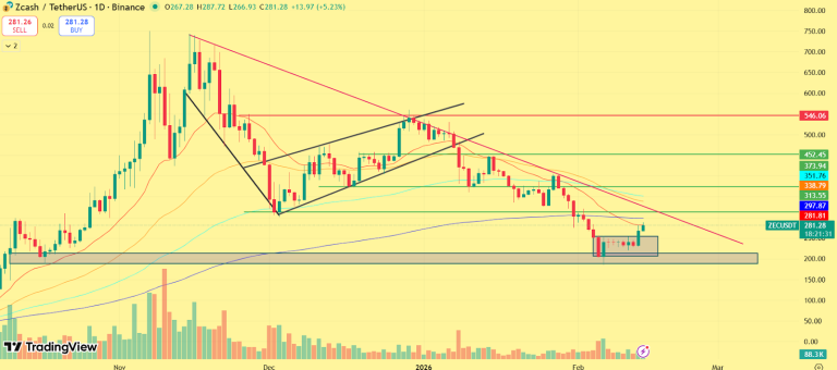 ZEC and HBAR Lead Altcoin Recovery as Market Turns Green: What Comes Next?