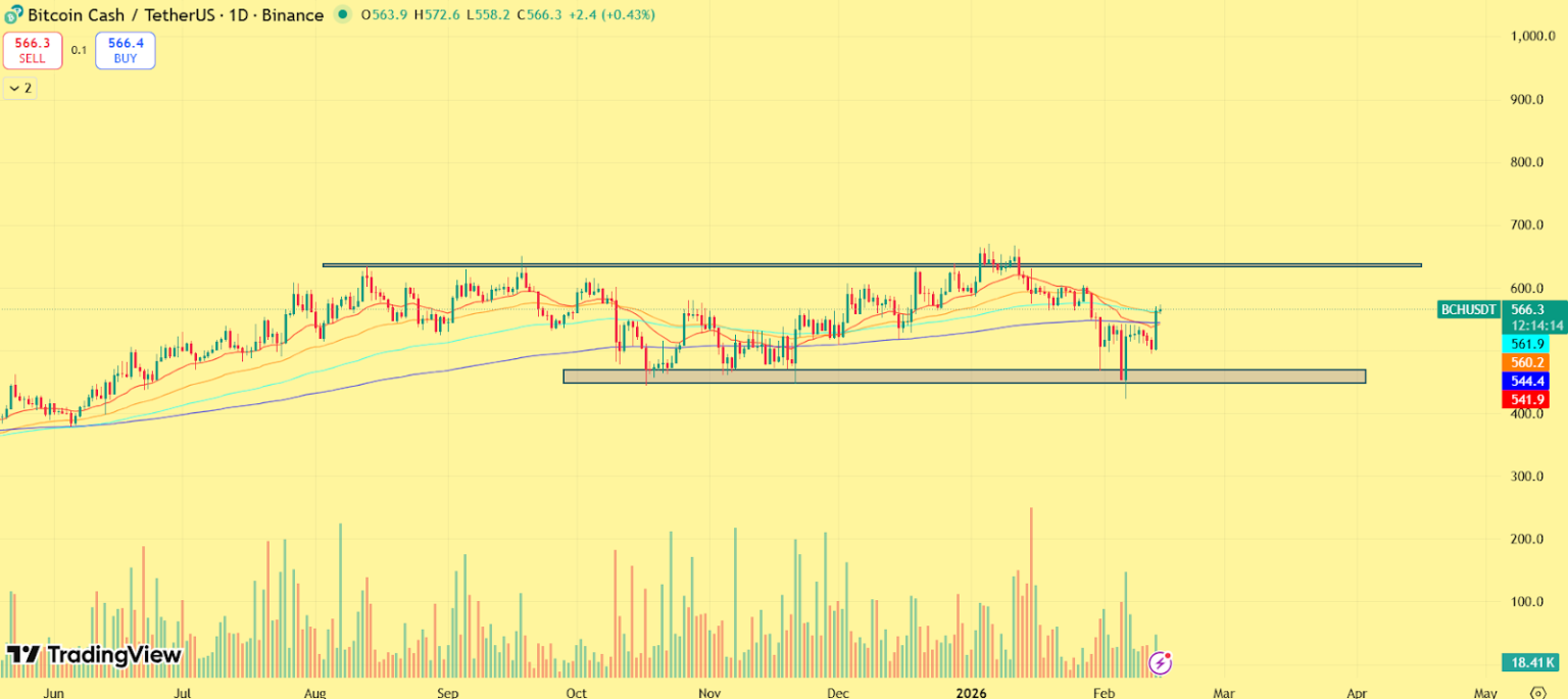 Bitcoin Cash Price Nears Short Squeeze Zone: Is $600 the Next Trigger?